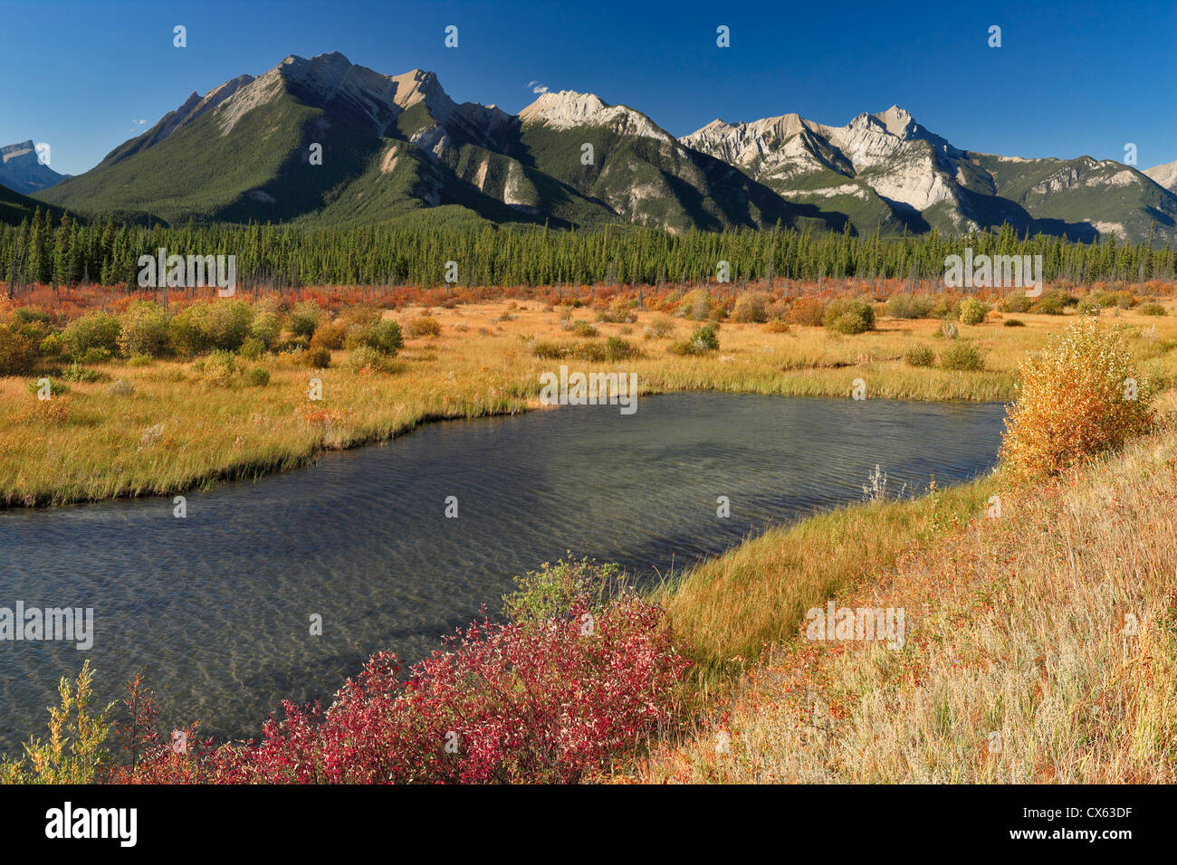 Jasper national park mountains hi-res stock photography and images - Alamy
