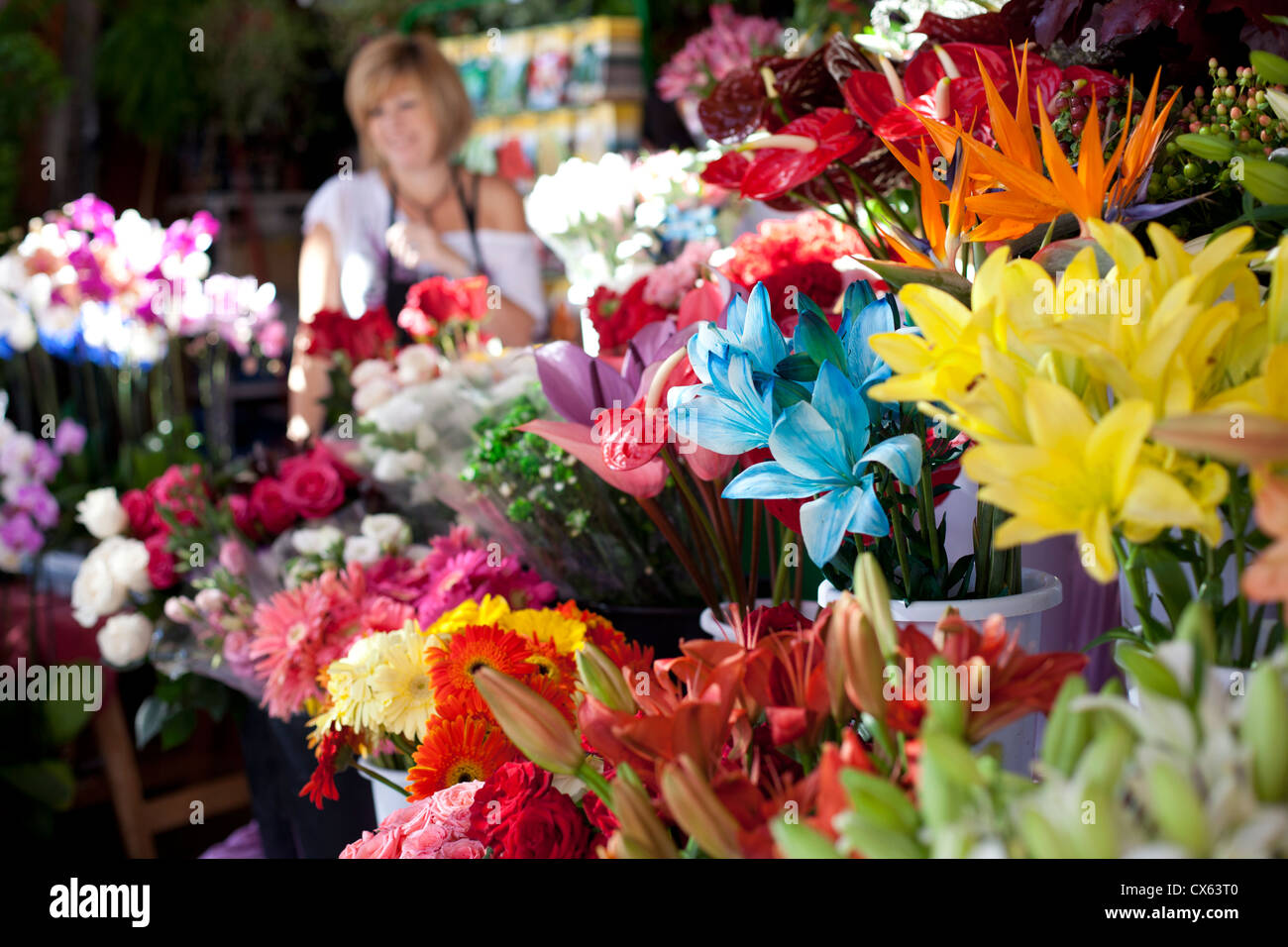 Flower stall florist market Alicante Spain Stock Photo - Alamy