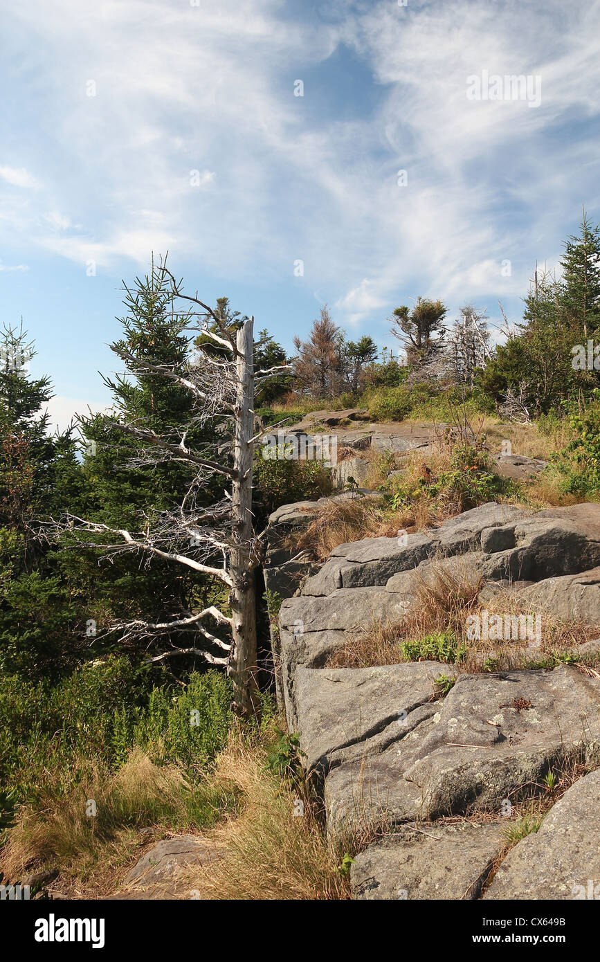 Burnt island maine hi-res stock photography and images - Alamy