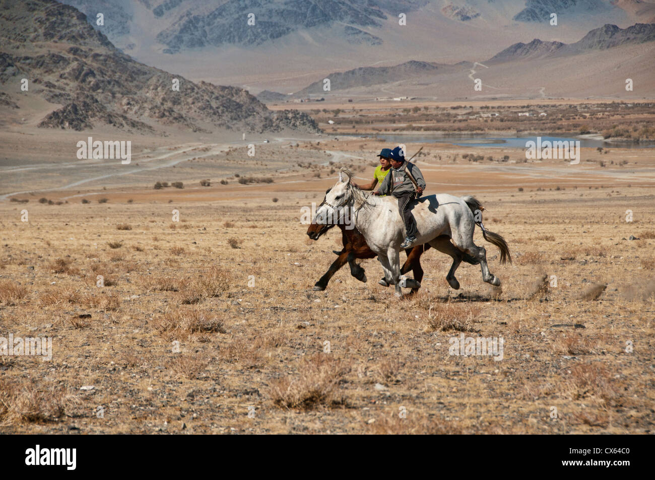 racing horses across the Central Asian steppe in the Altai Region of ...