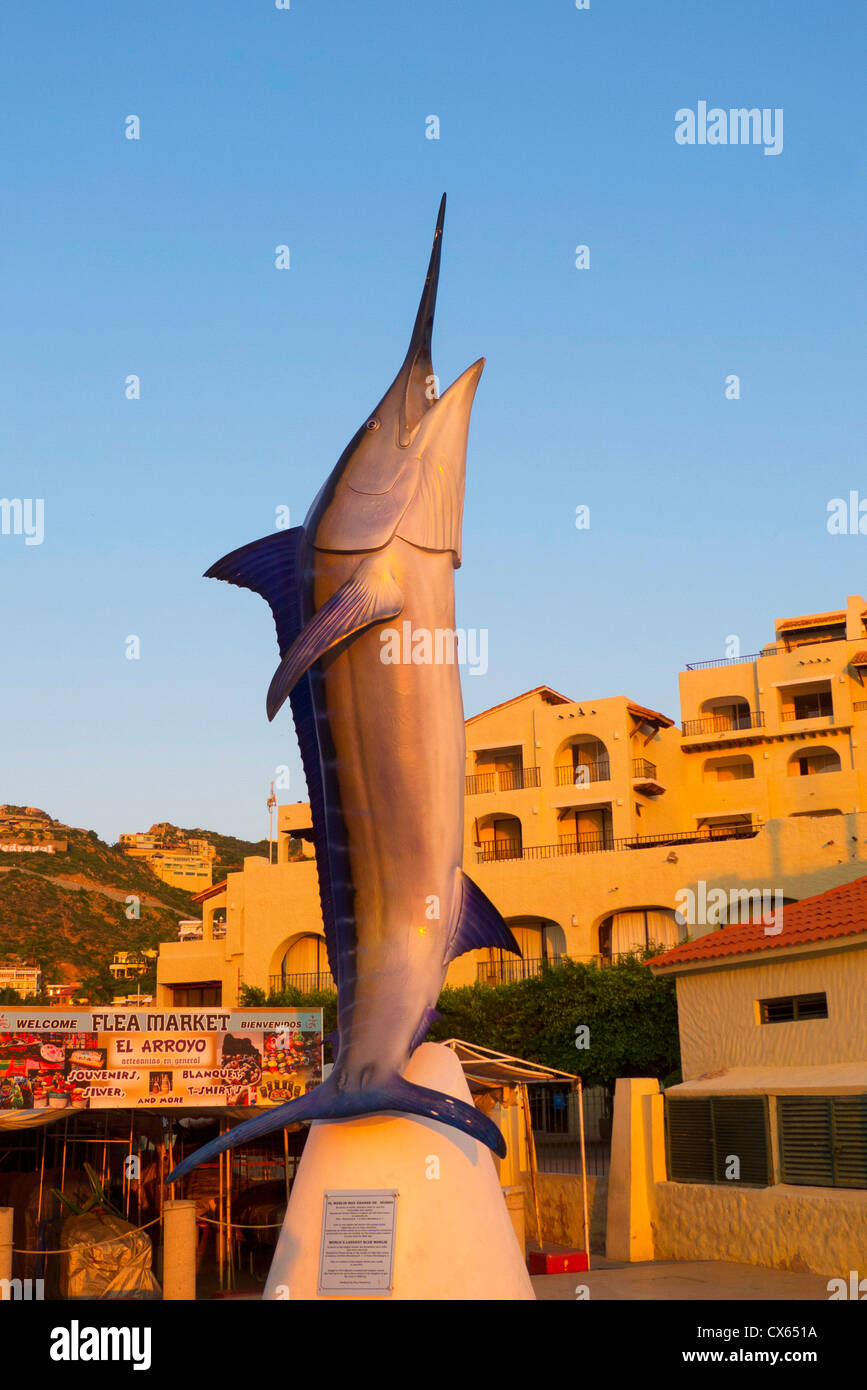 Los cabo marlin hi-res stock photography and images - Alamy