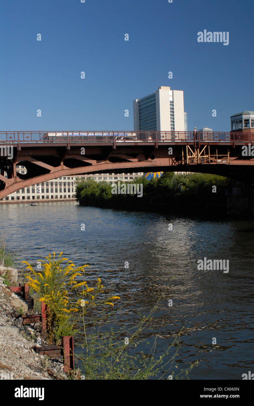 Halsted Avenue Chicago
