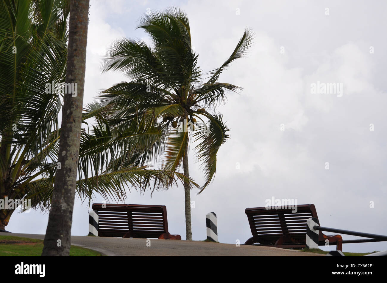 A windy day Stock Photo - Alamy