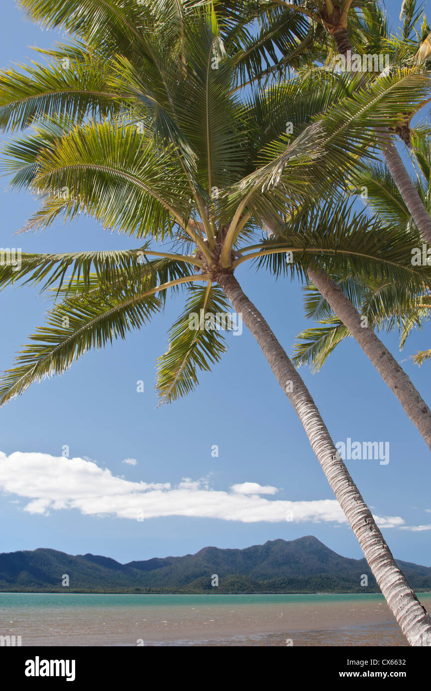 Cardwell Queensland Australia Stock Photos & Cardwell Queensland ...