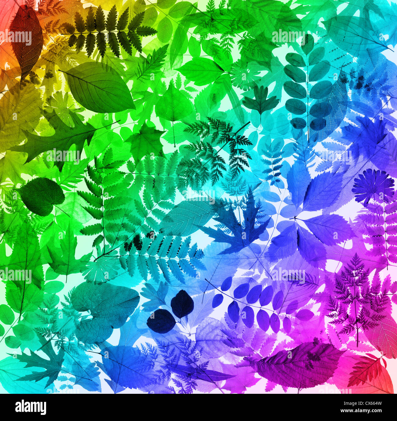 All green with different textures hi-res stock photography and images ...