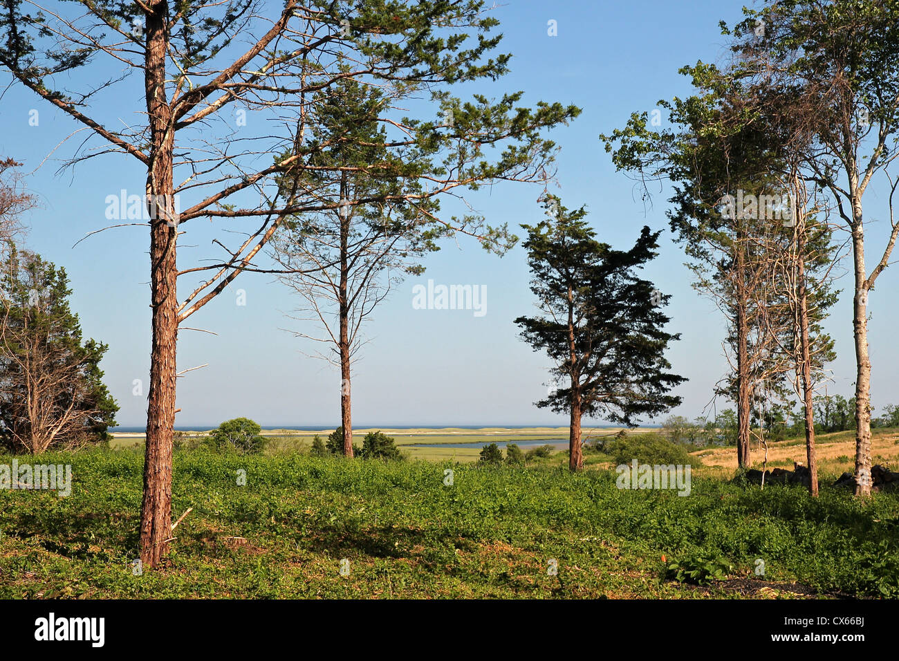 Eastham, Cape Cod, Massachusetts Stock Photo - Alamy
