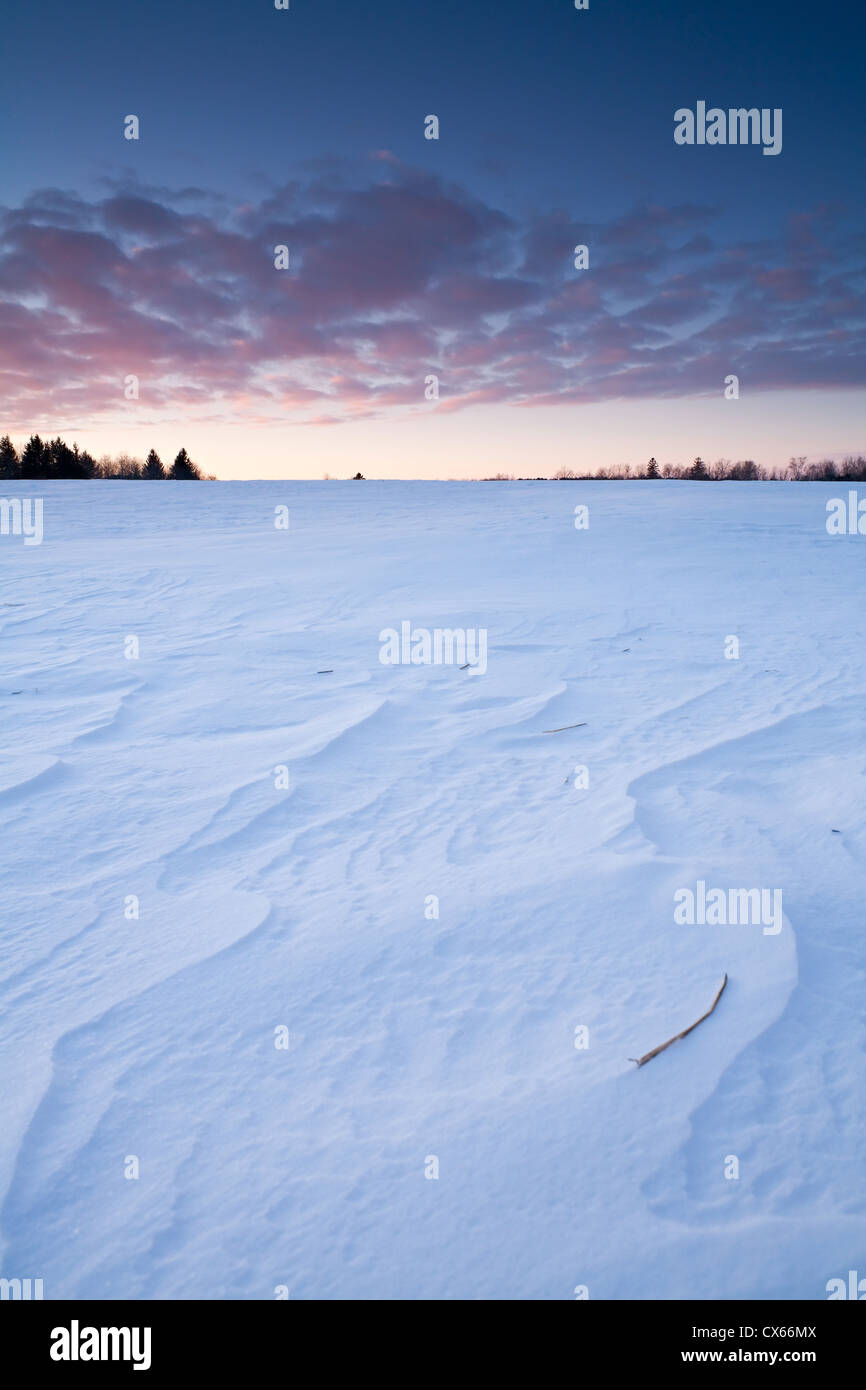 Farmer's Field in winter at sunset Stock Photo - Alamy
