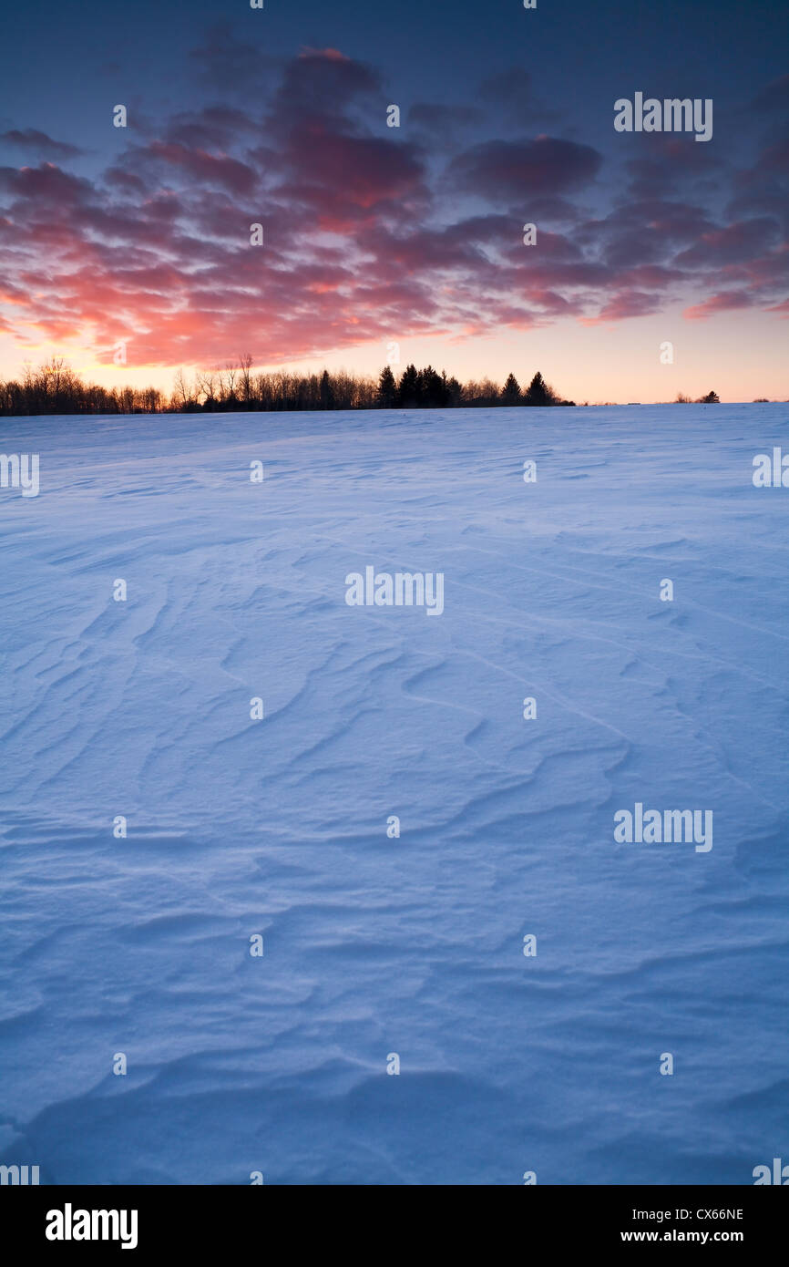 Farmer's Field in winter at sunset Stock Photo - Alamy