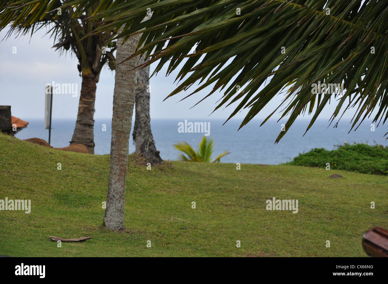 Beach kovalm kerala hi-res stock photography and images - Alamy
