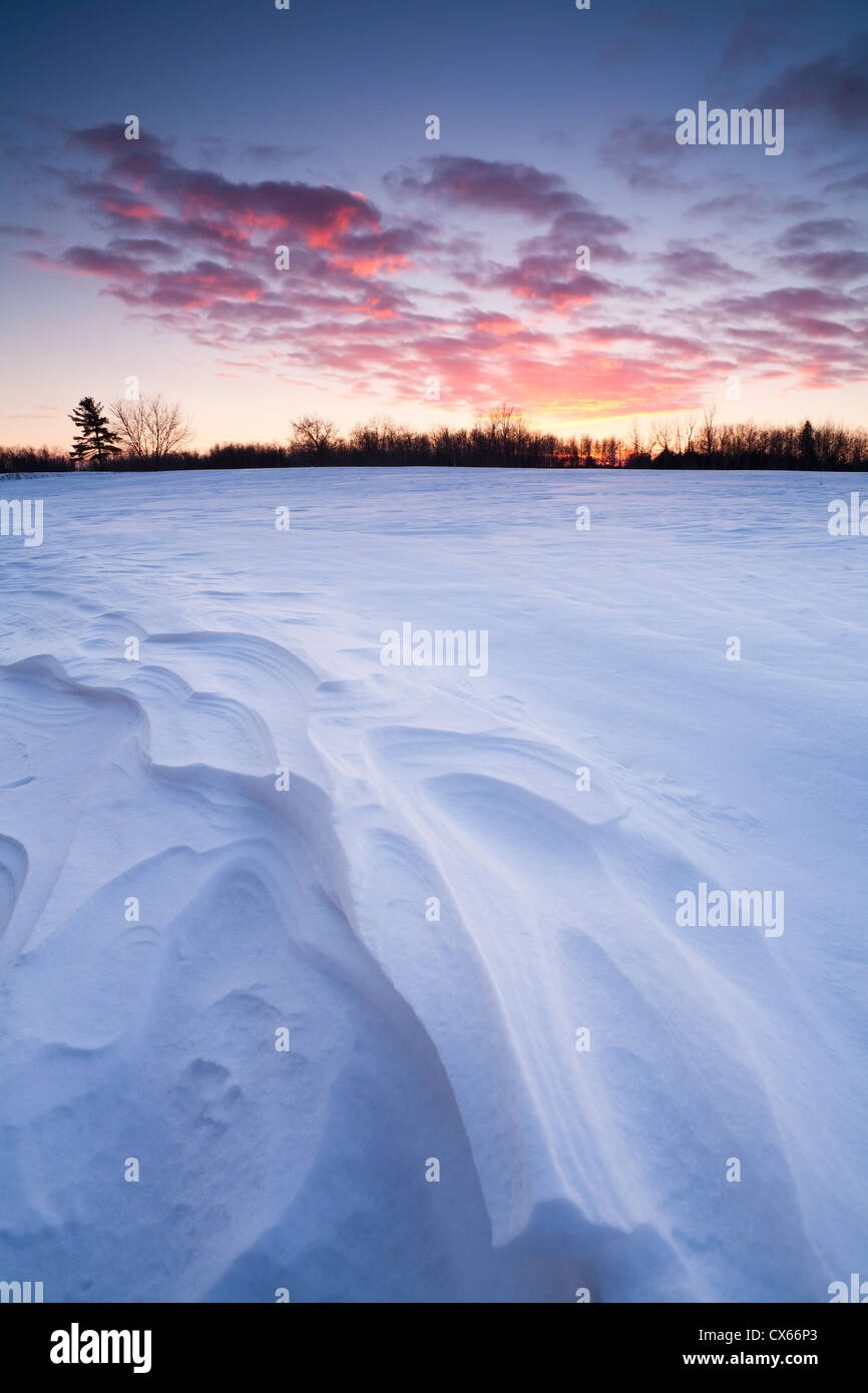 Farmer's Field in winter at sunset Stock Photo - Alamy