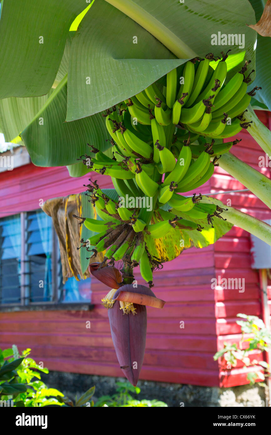 Kioa Island Stock Photos & Kioa Island Stock Images - Alamy