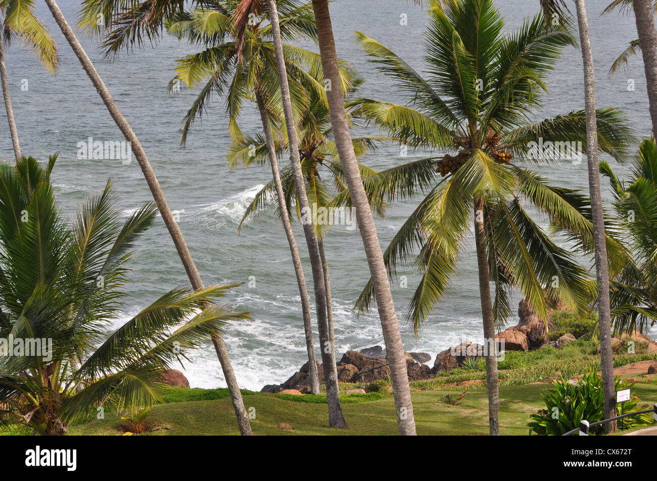 View of the sea from a hillside Stock Photo - Alamy