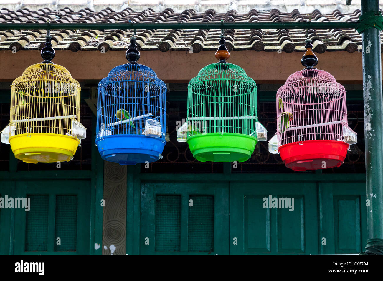 Cages on the Bird Market in Yogyakarta Indonesia Stock Photo - Alamy