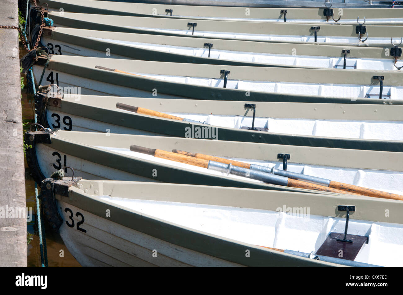 Chester uk rowing boat hi-res stock photography and images - Alamy