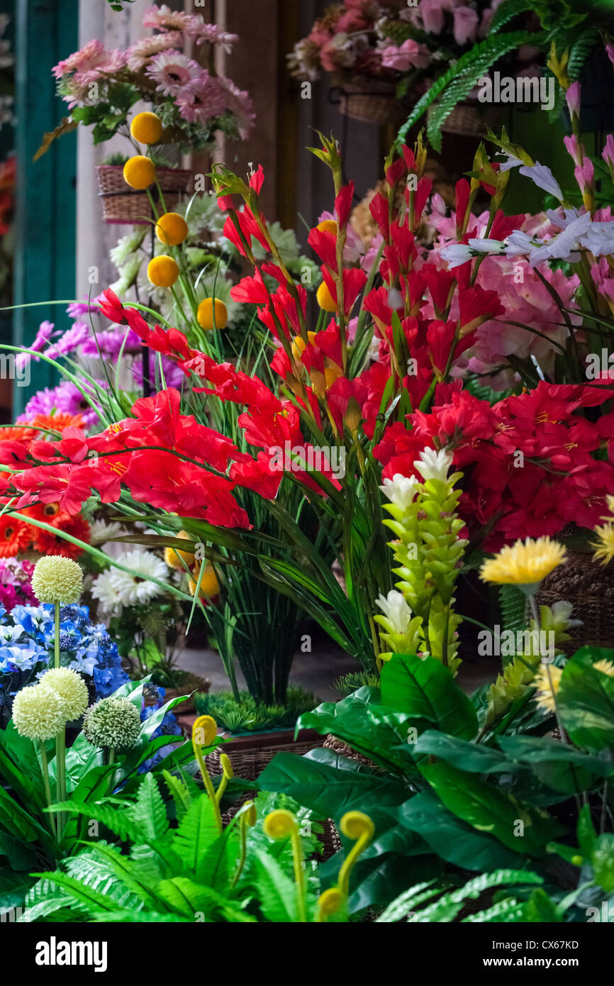 Stengel leaves hi-res stock photography and images - Alamy