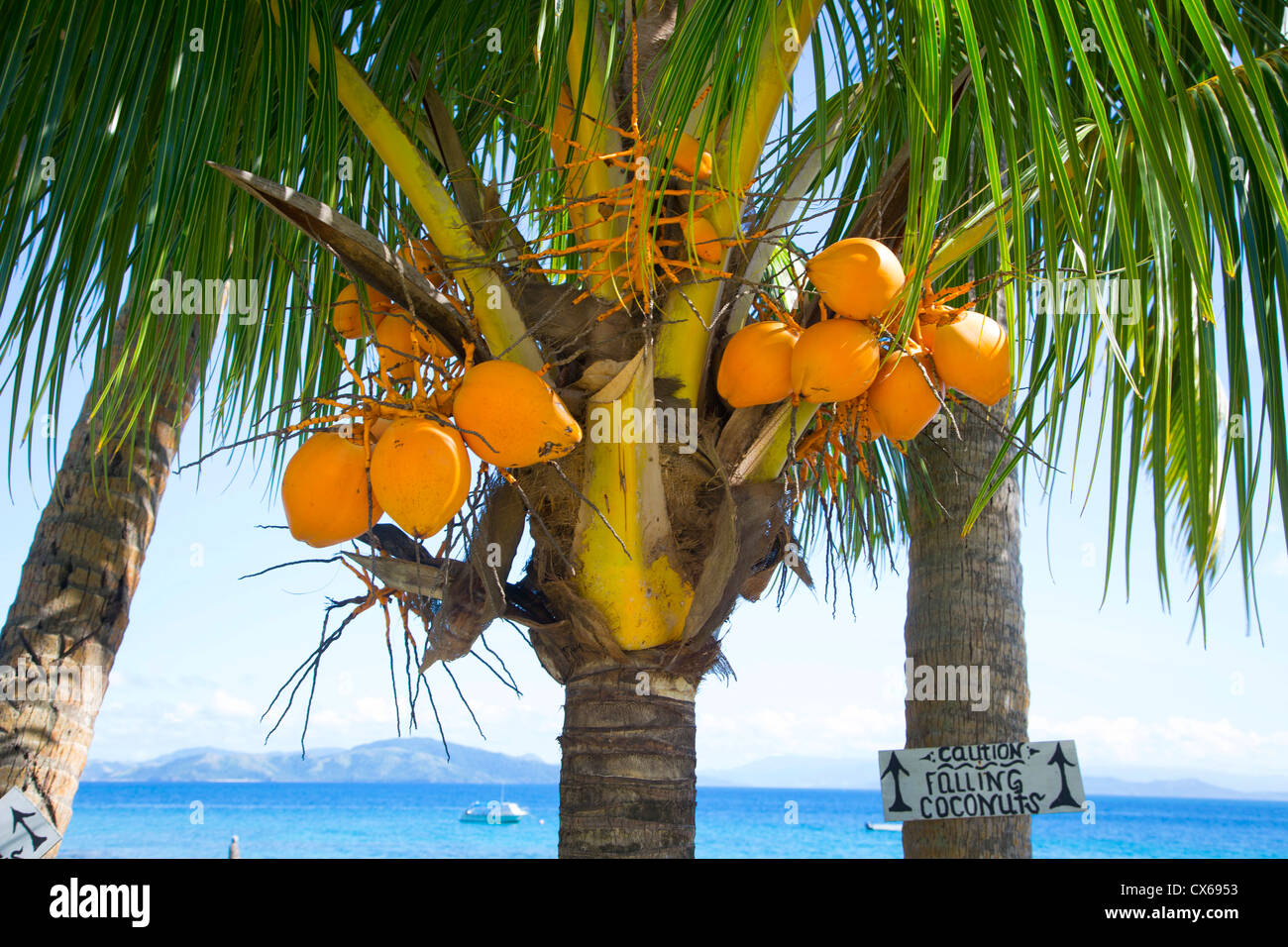 Falling coconut sign hi-res stock photography and images - Alamy