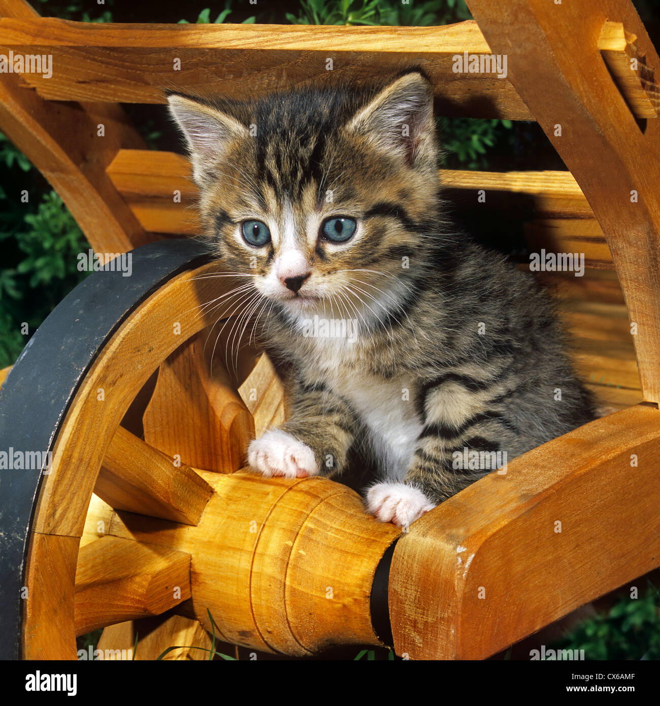 Square barrow hi-res stock photography and images - Alamy