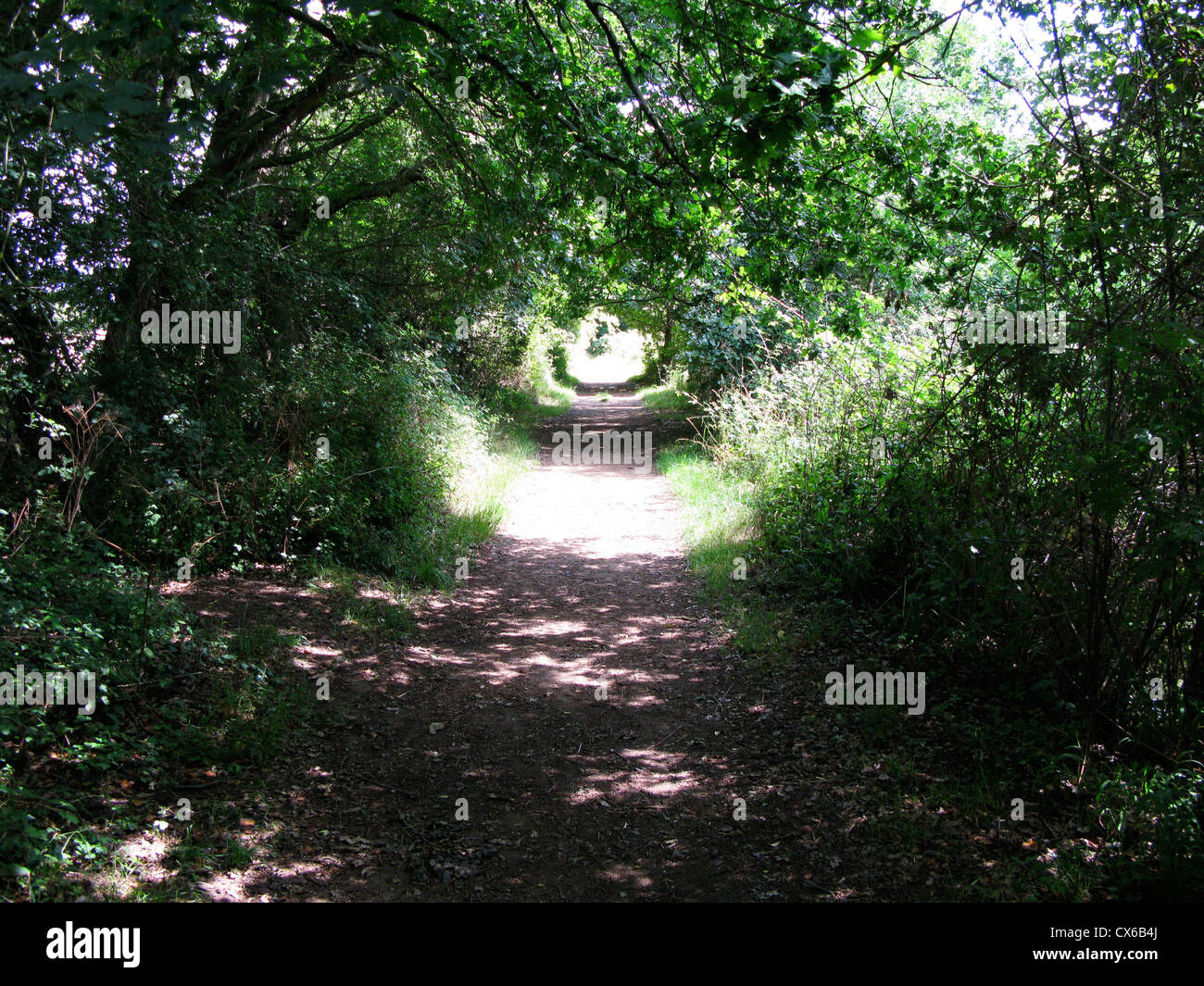 Path into the distance hi-res stock photography and images - Alamy
