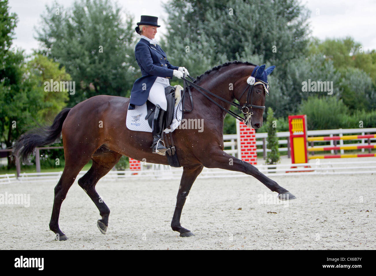Dressage Extended Trot Silhouette