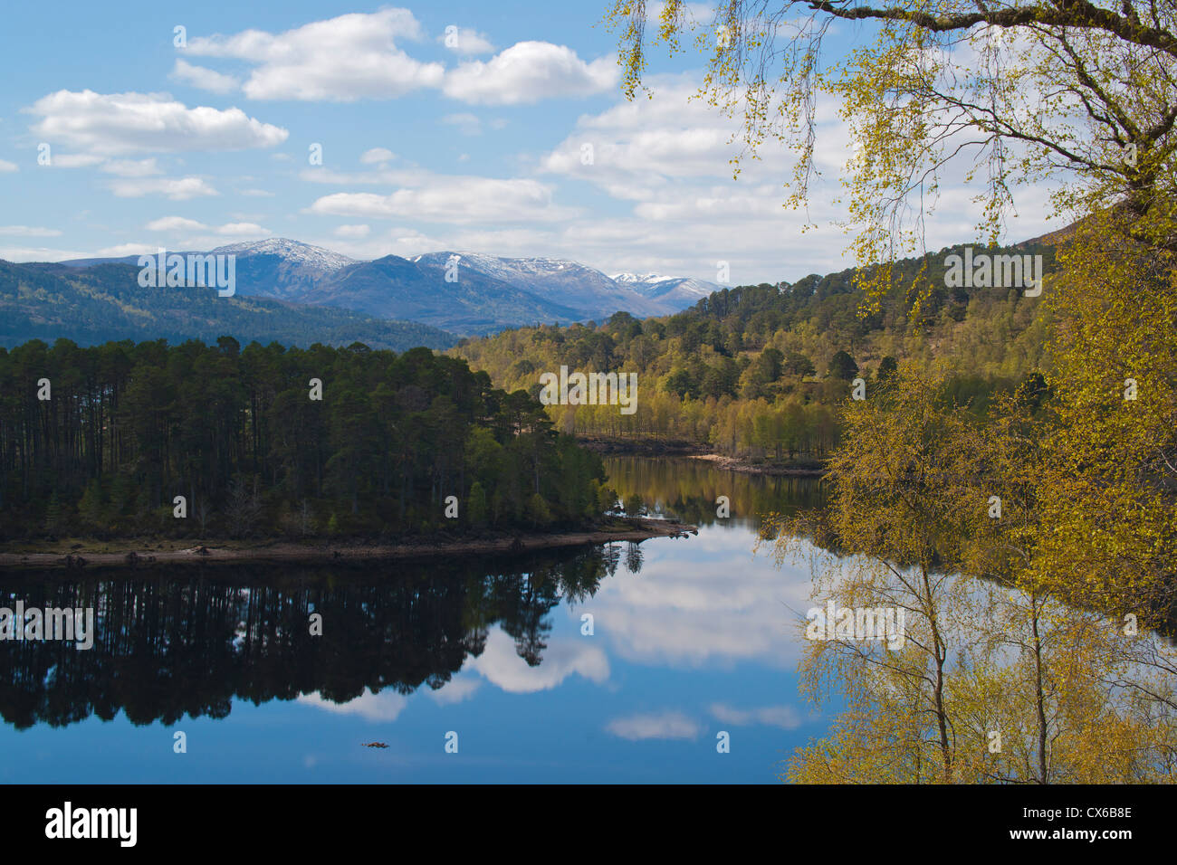 Inverness spring inverness hi-res stock photography and images - Alamy