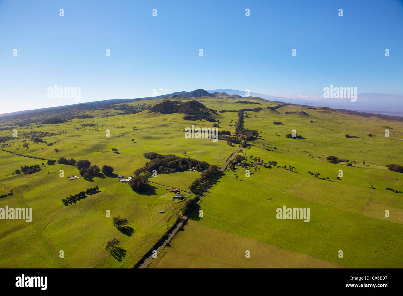 Ranch Land, Kohala Mountain Road , Route 250, North Kohala, Big Island ...