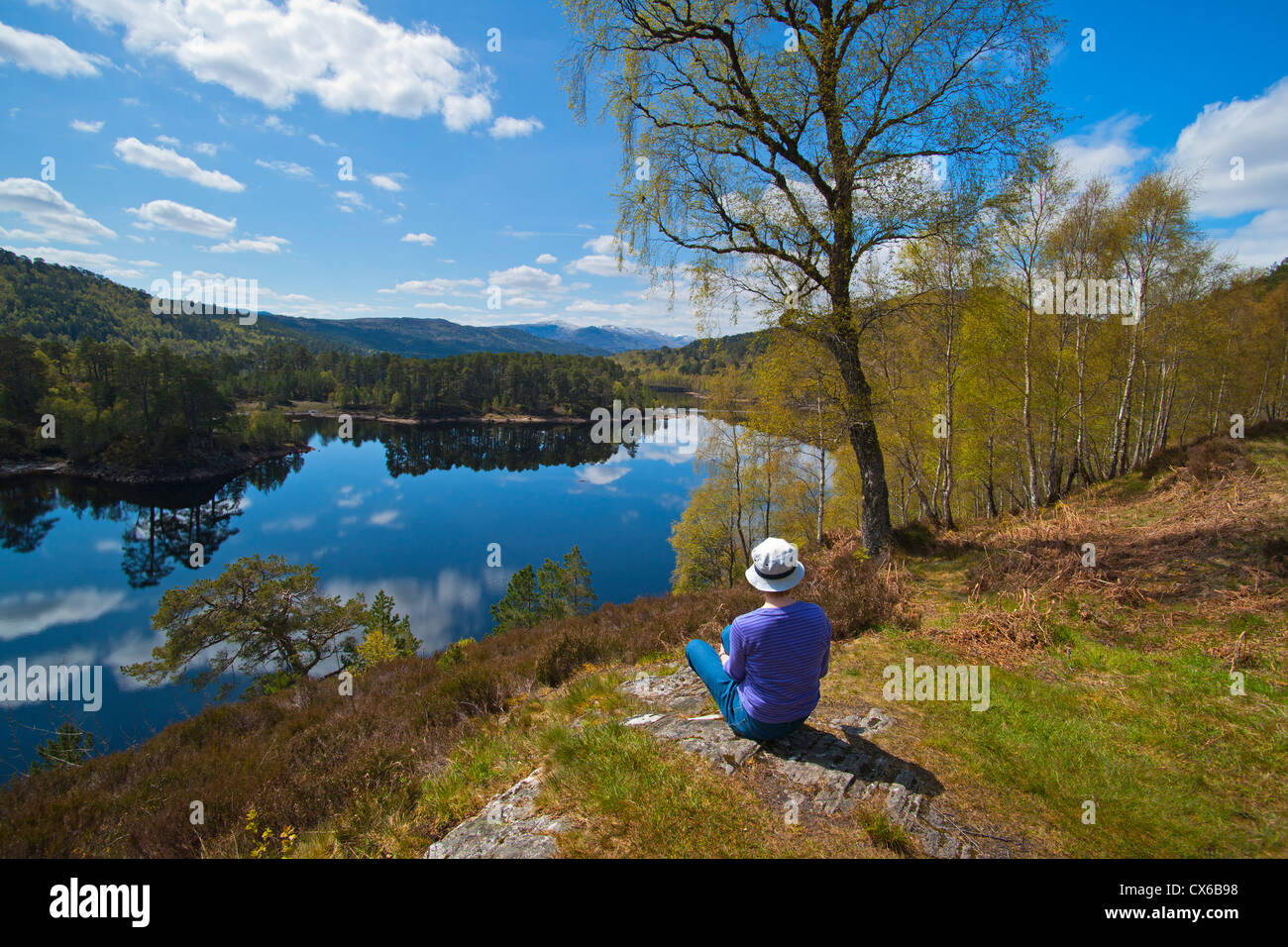 Glen Affric, spring, Inverness, Highland Region, Scotland Stock Photo ...