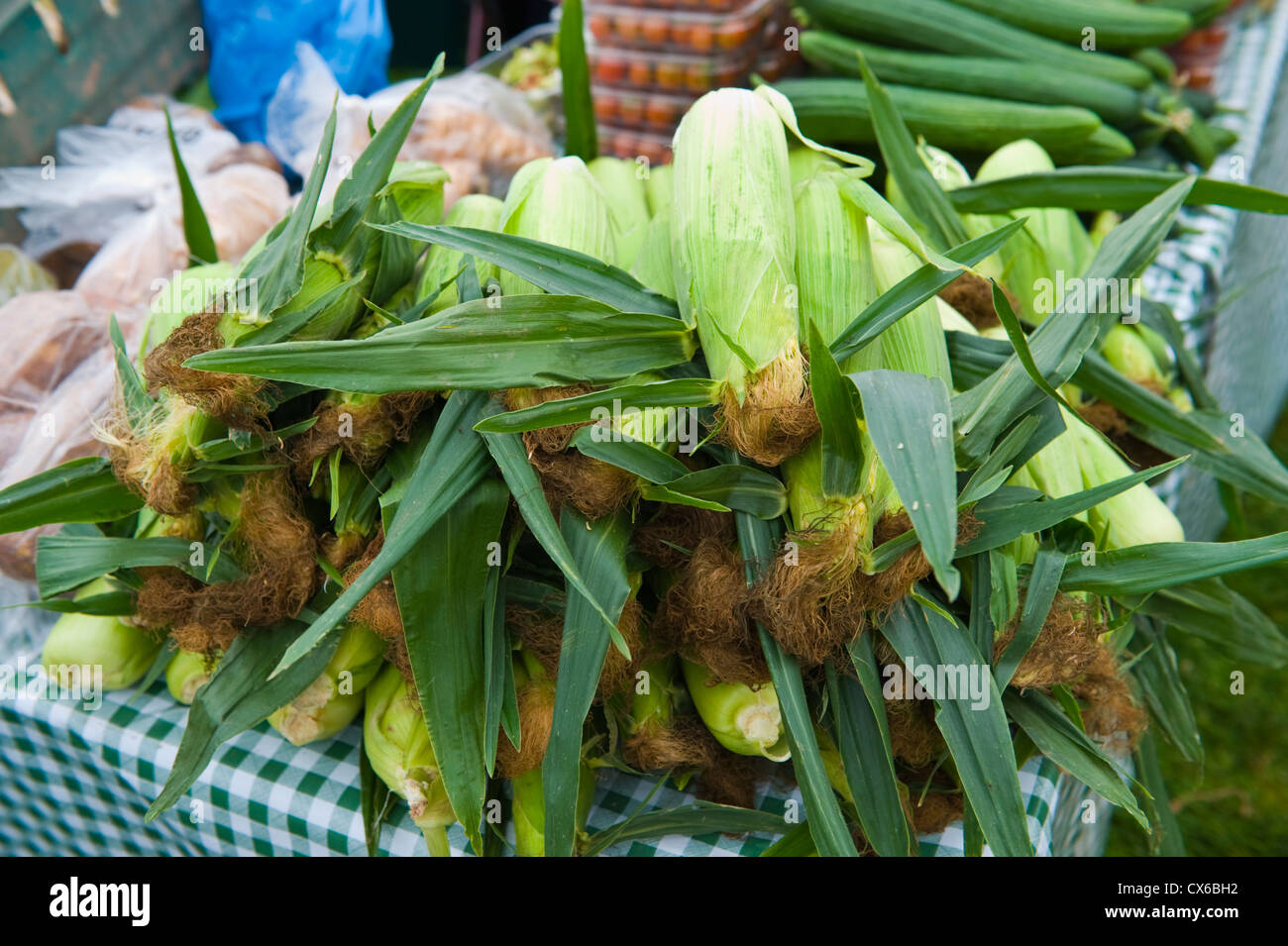 Sweetcorn for sale on vegetable stall at Ludlow Food Festival 2012 ...