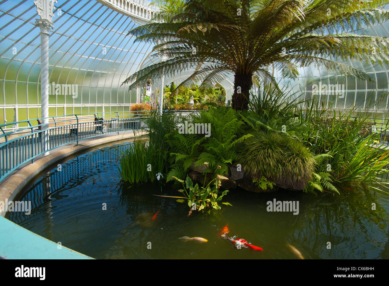 Botanic Gardens, Glasgow, spring colours, sunny; Strathclyde Region ...