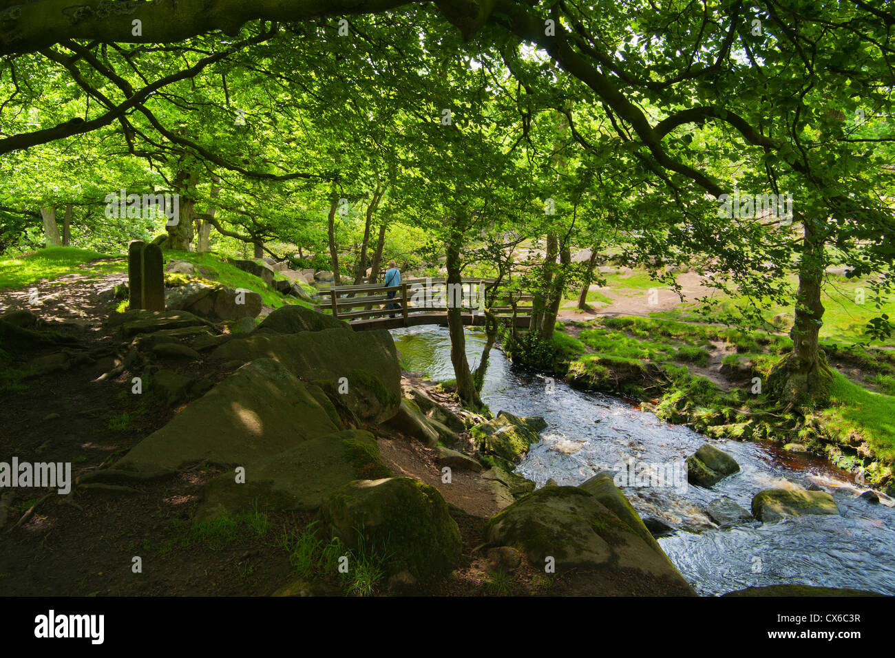 Longshaw Estate, Burbage Brook, Peak District, England, UK Stock Photo ...