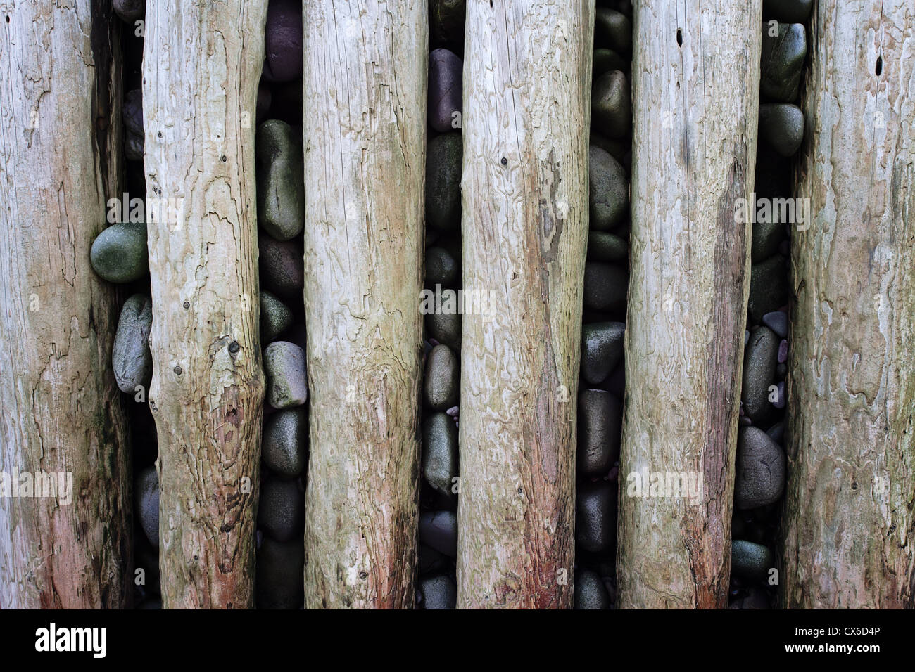 Timber Piles High Resolution Stock Photography and Images - Alamy