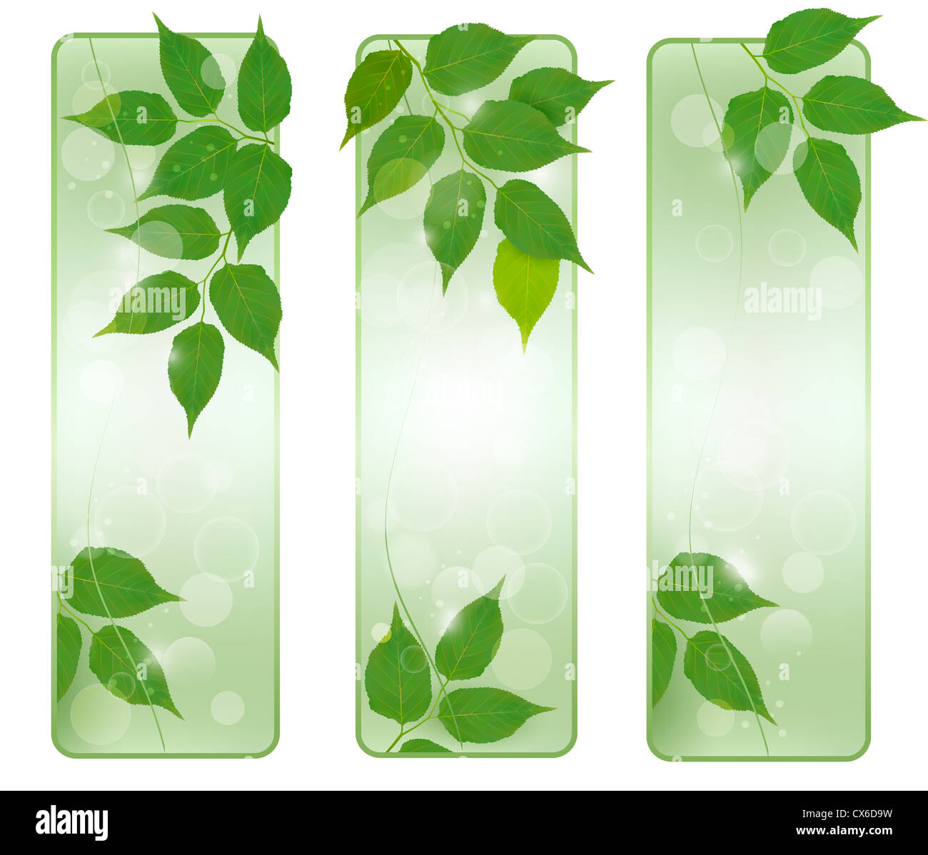 Three nature banners with green fresh leaves . Vector illustration ...