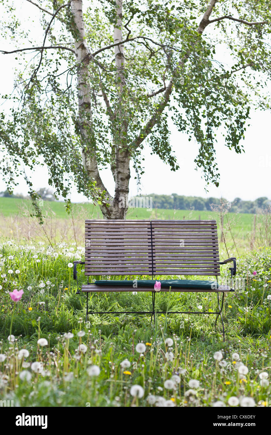 A wooden bench in a field Stock Photo - Alamy
