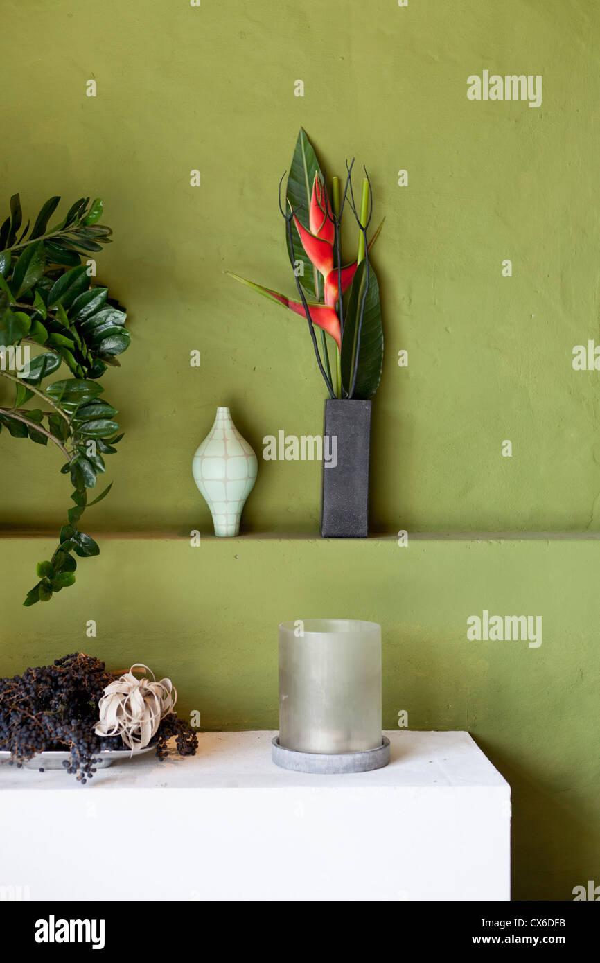 Interior plant paradise hi-res stock photography and images - Alamy