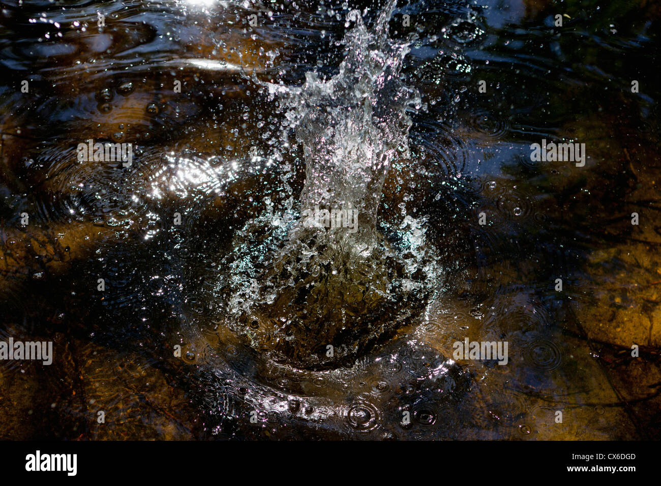 Detail of water splashing Stock Photo - Alamy