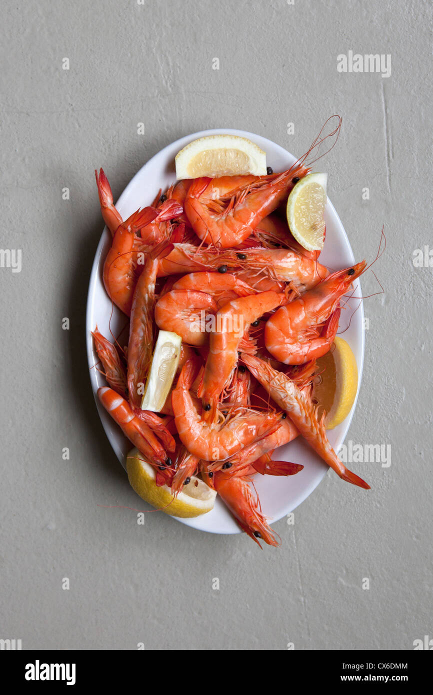 A plate of prawns Stock Photo - Alamy