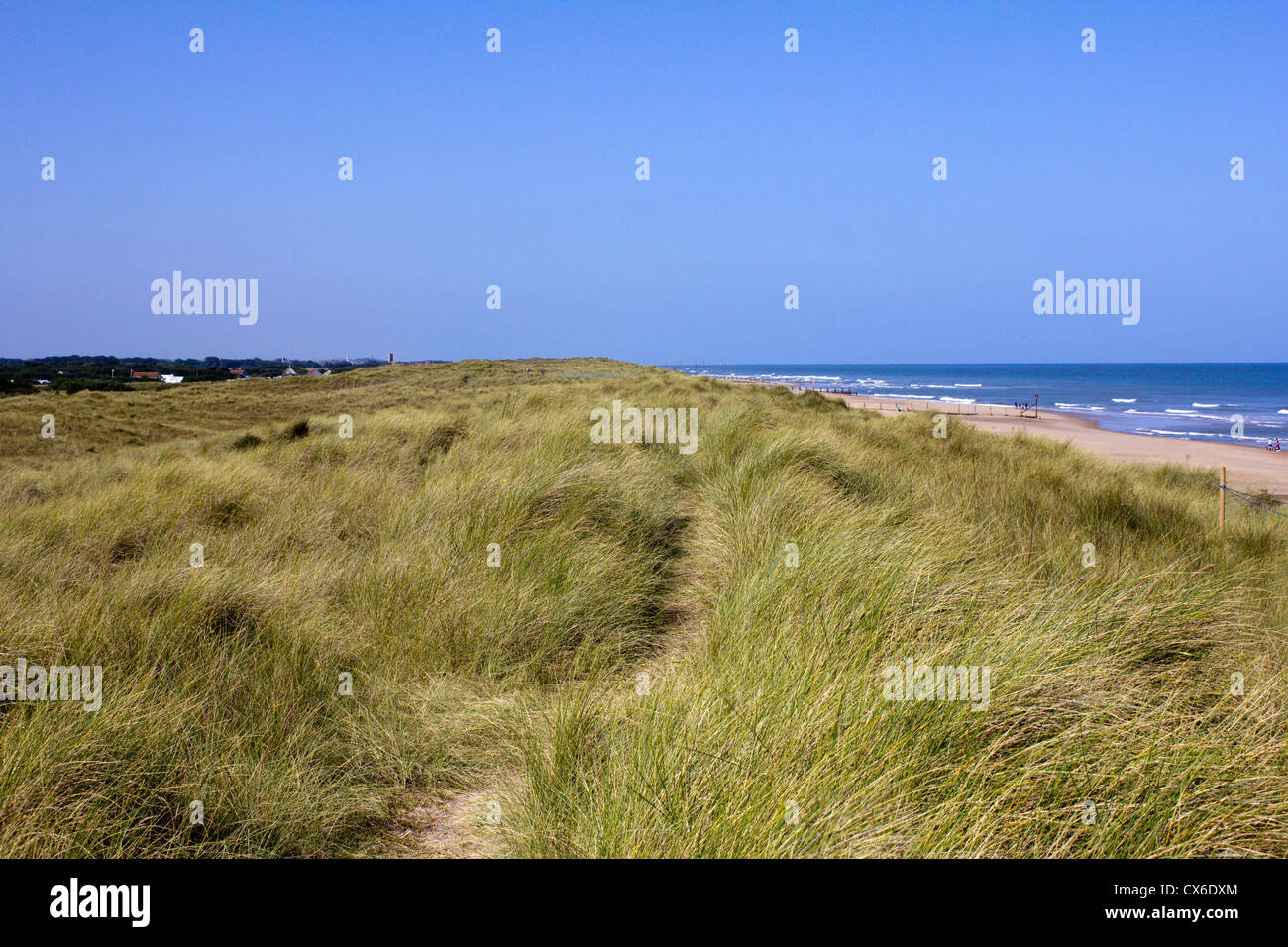 sand dunes and beach near horsey corner norfolk england Stock Photo - Alamy