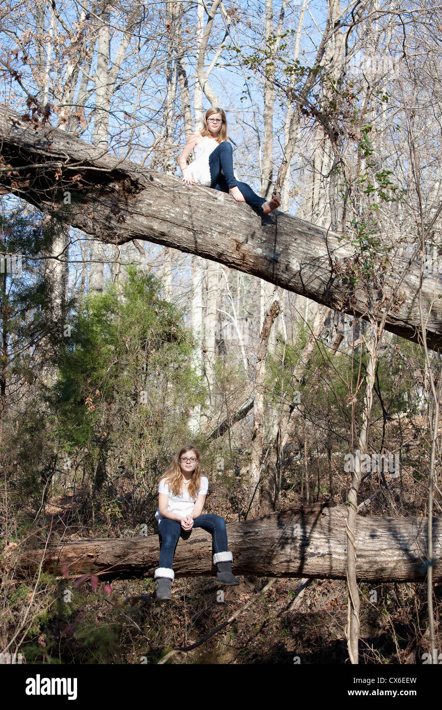 Two similar girls sitting on tree trunks in forest in Mooresville ...
