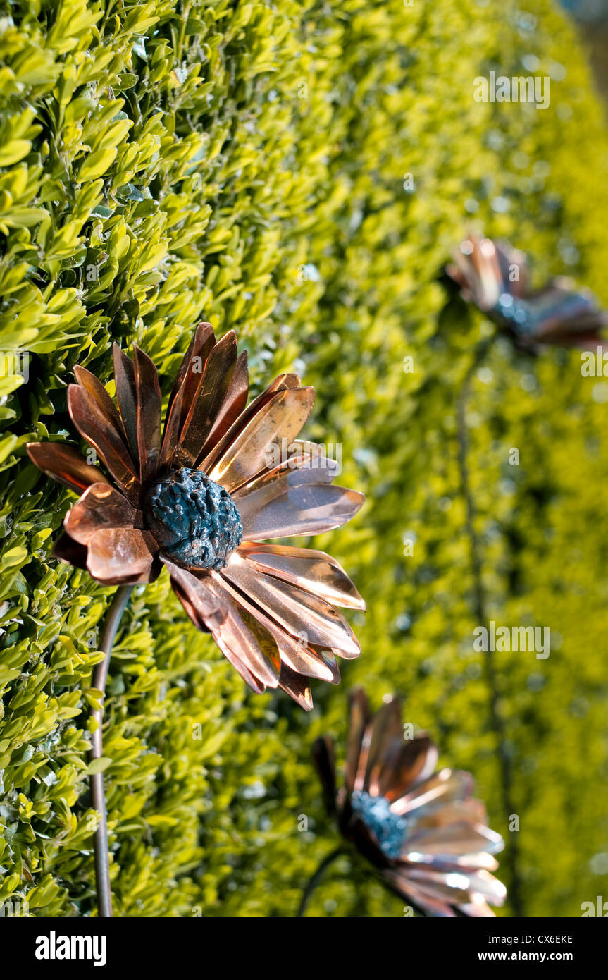 Copper hedge hi-res stock photography and images - Alamy