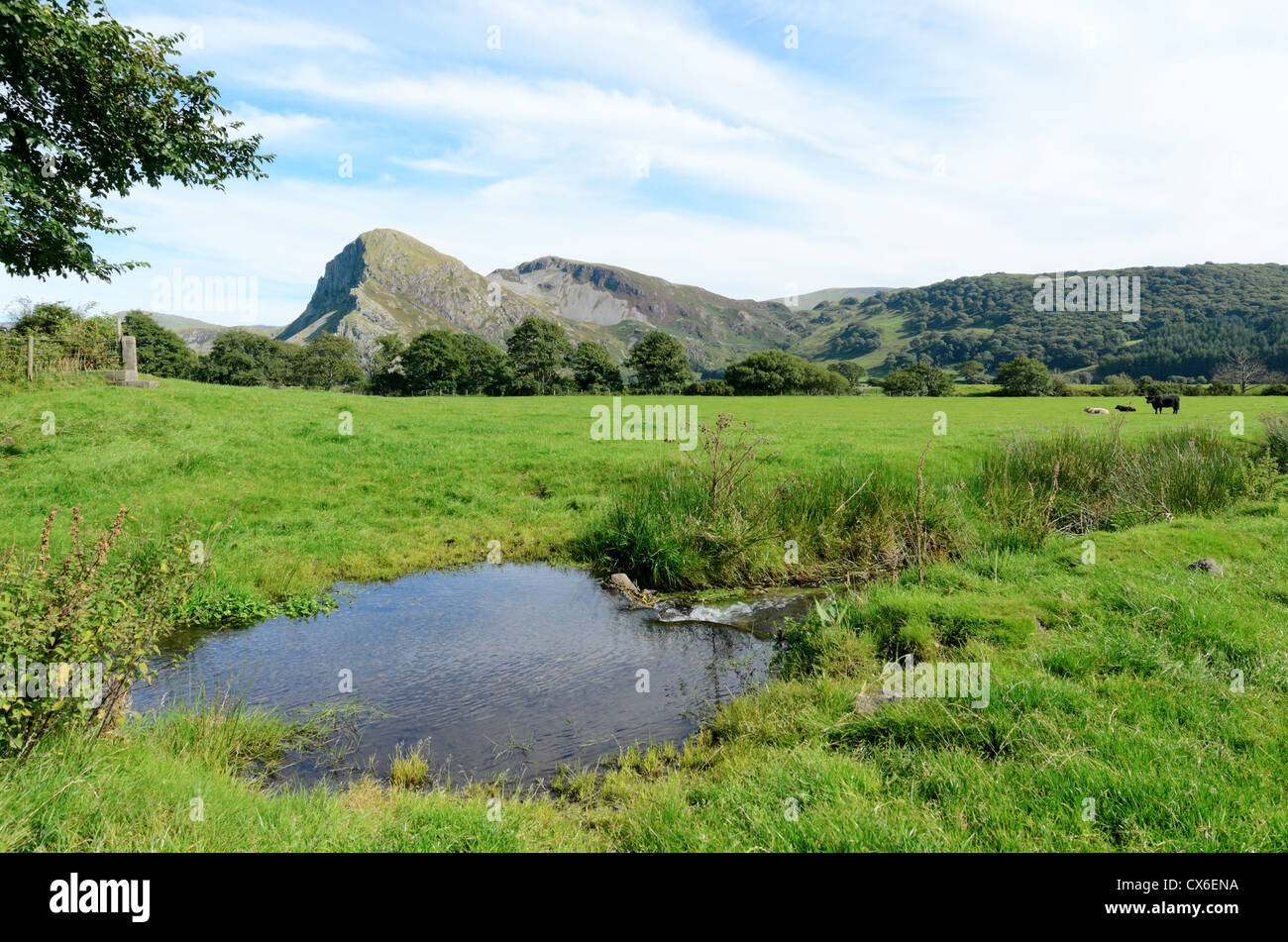 Craig yr Aderyn in Snowdonia National Park Gwynedd Wales Stock Photo ...