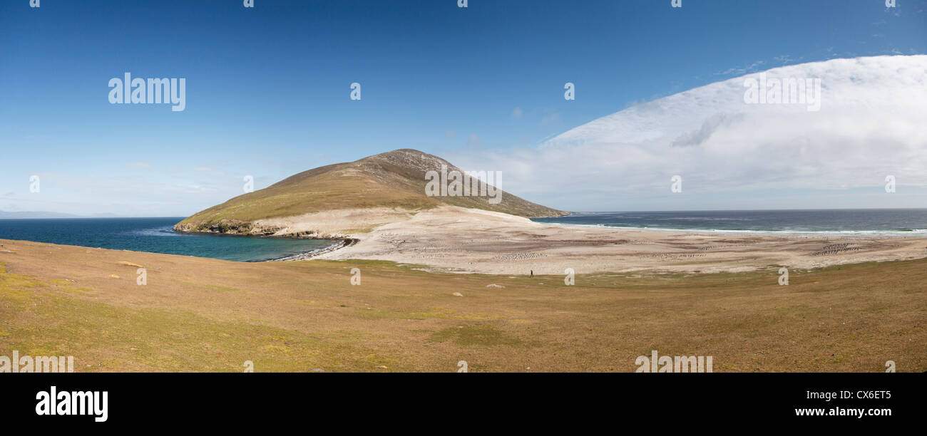 Pano of The Neck - Saunders island - Falkland islands Stock Photo - Alamy