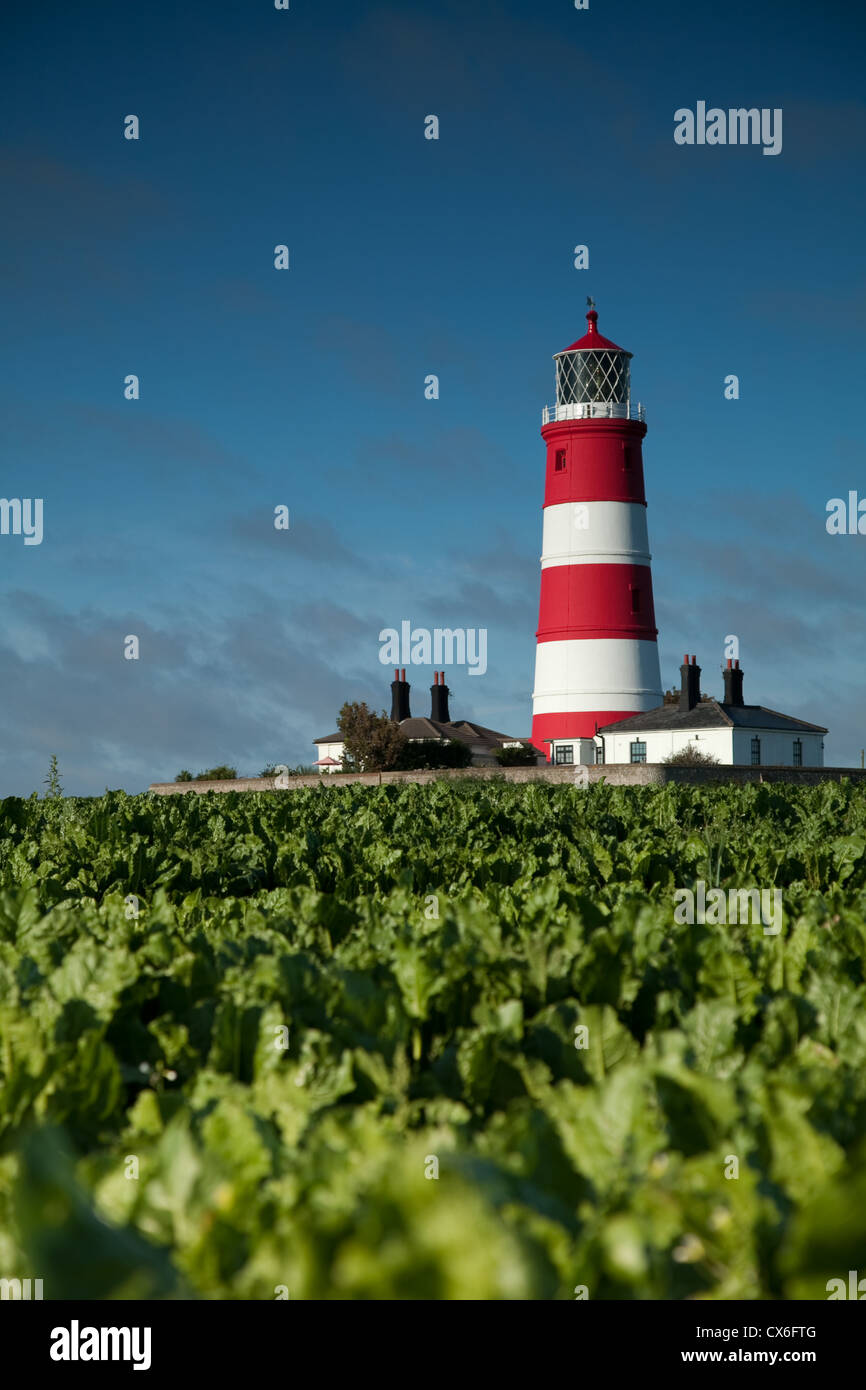 Happisburgh lighthouse hi-res stock photography and images - Alamy