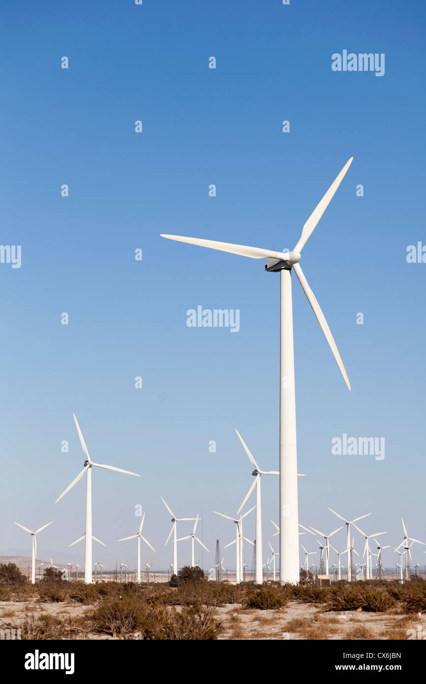 Wind in desert hi-res stock photography and images - Alamy