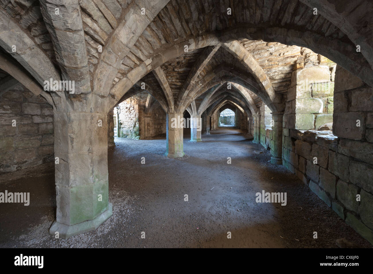 Finchale priory hi-res stock photography and images - Alamy