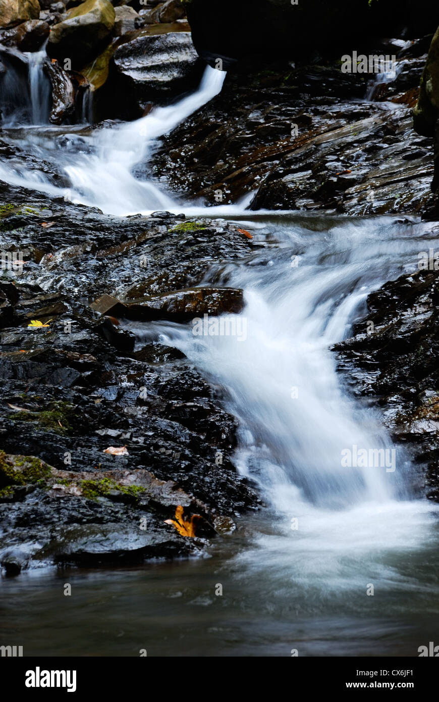 Repid hi-res stock photography and images - Alamy