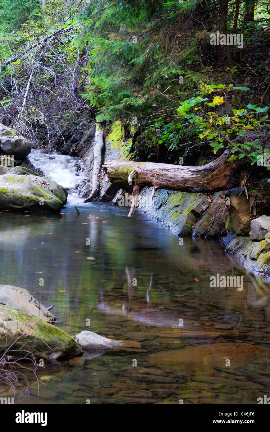 riverbed with calm water. nature Stock Photo - Alamy