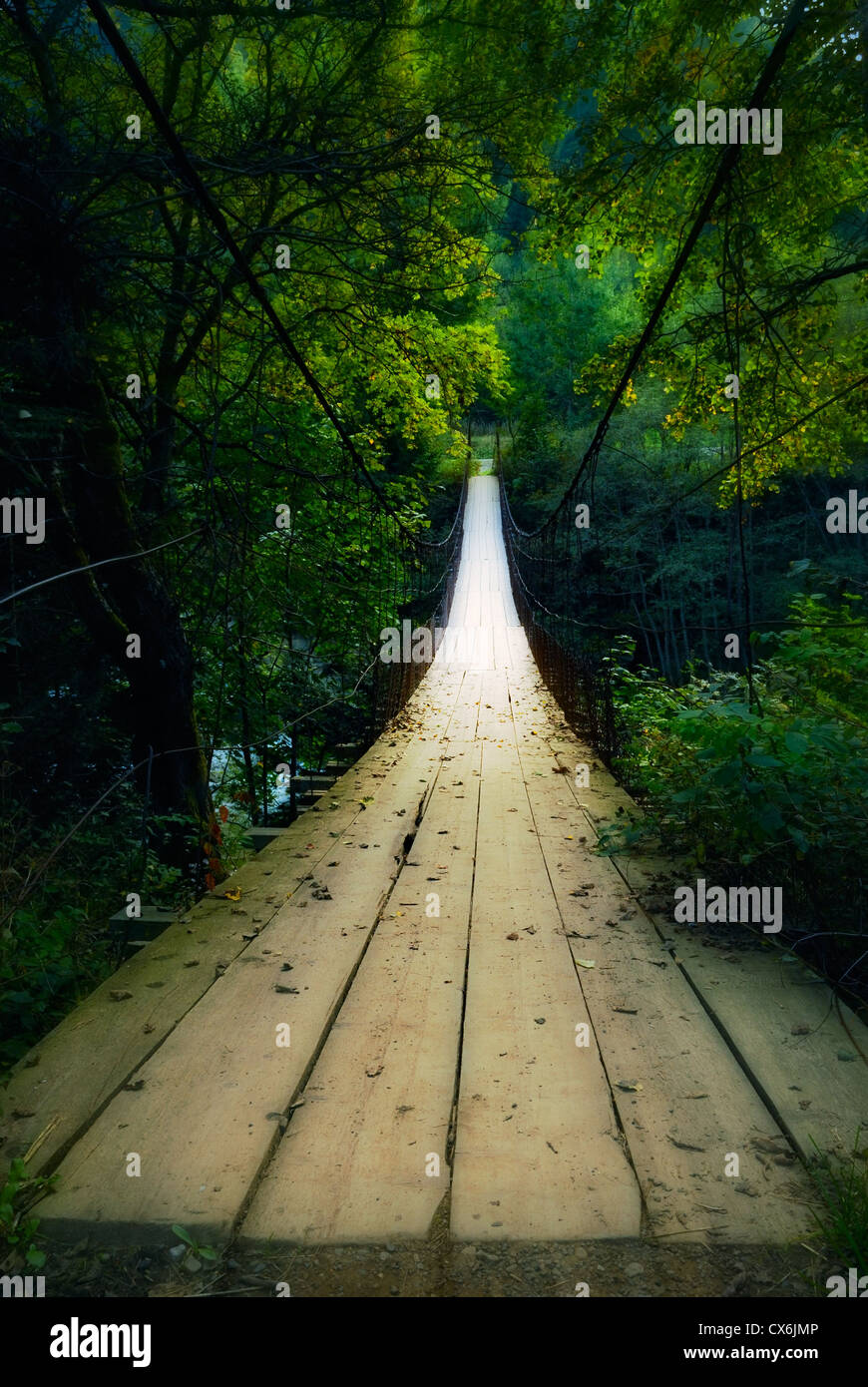 Pedestrian suspended bridge hi-res stock photography and images - Alamy