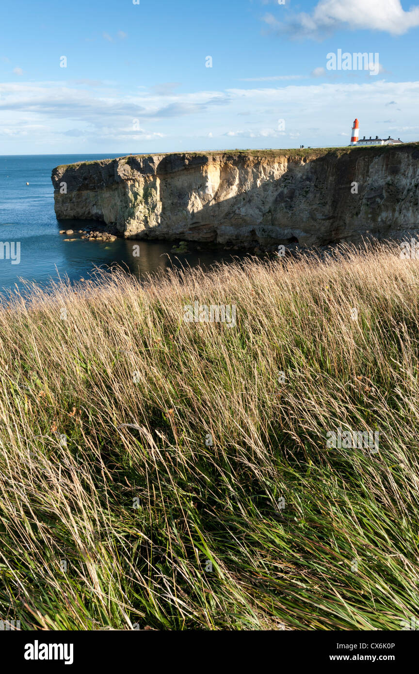 Souter Lighthouse Lizard Point Coast Road, Whitburn, Sunderland, SR6 ...