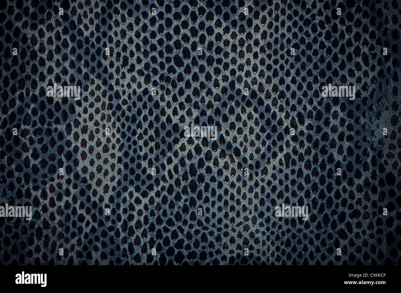 Blue python snake skin texture background Stock Photo - Alamy