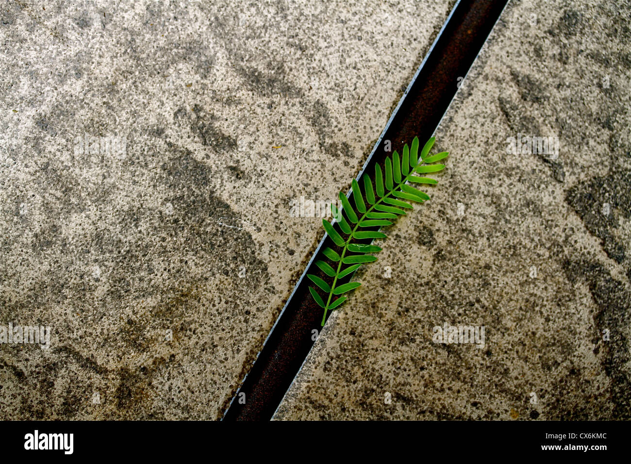 Parallel lines nature hi-res stock photography and images - Alamy