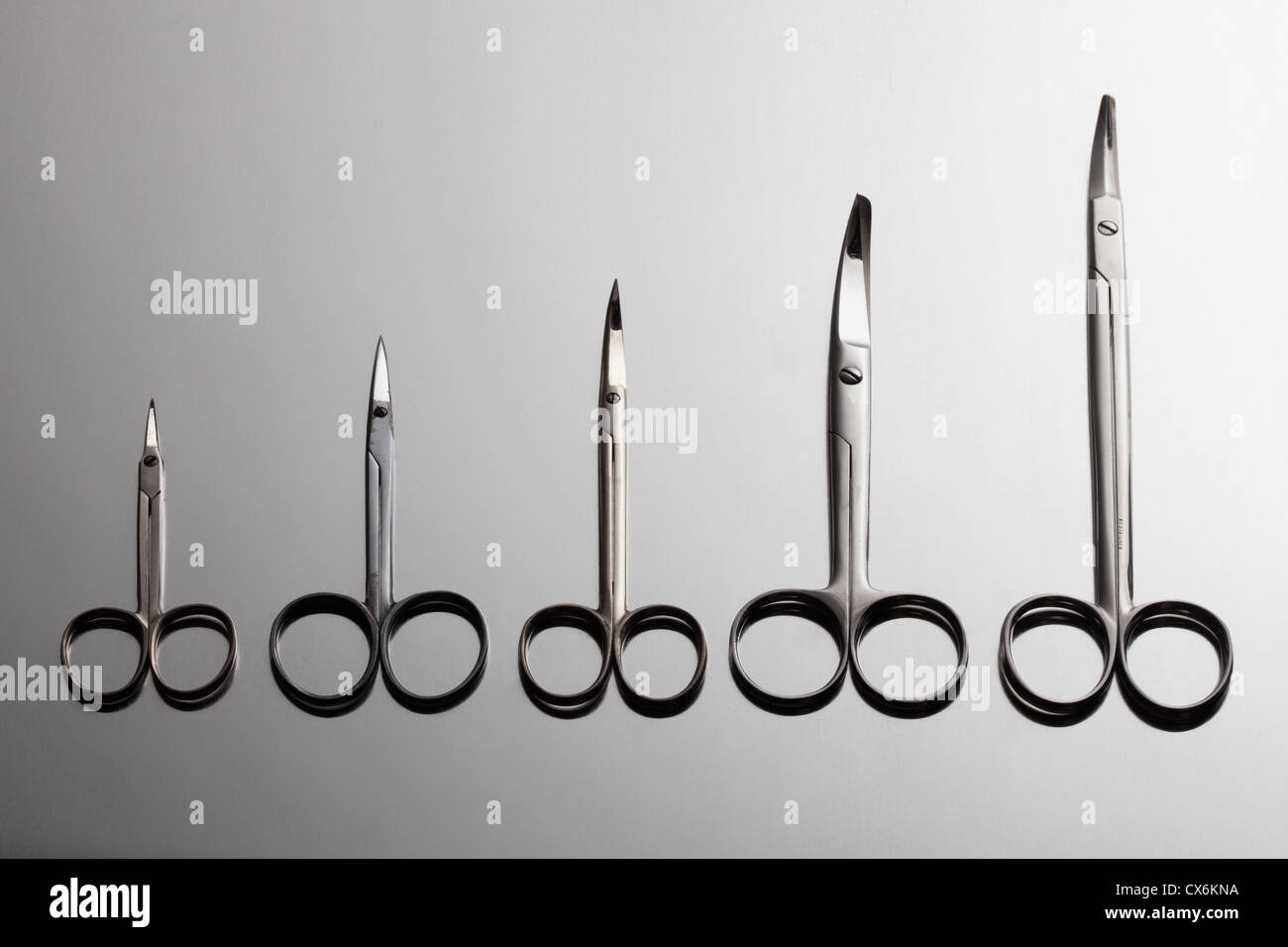 Various surgical scissors arranged from smallest to largest Stock Photo ...